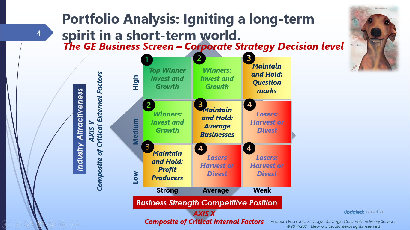 Portfolio Analysis: Igniting a long-term spirit in a short-term world ...