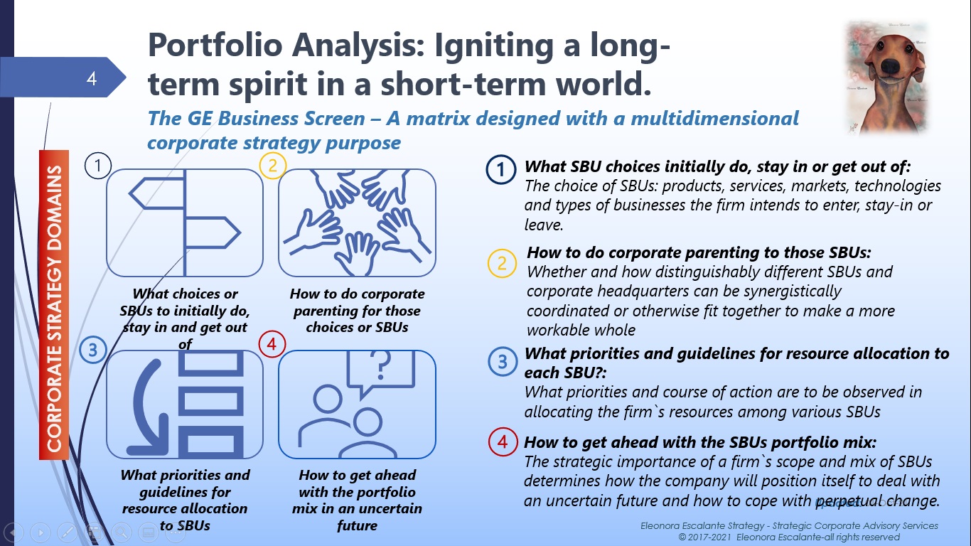 Portfolio Analysis: Igniting a long-term spirit in a short-term world ...