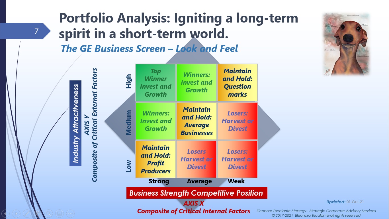 Portfolio Analysis: Igniting a long-term spirit in a short-term world ...
