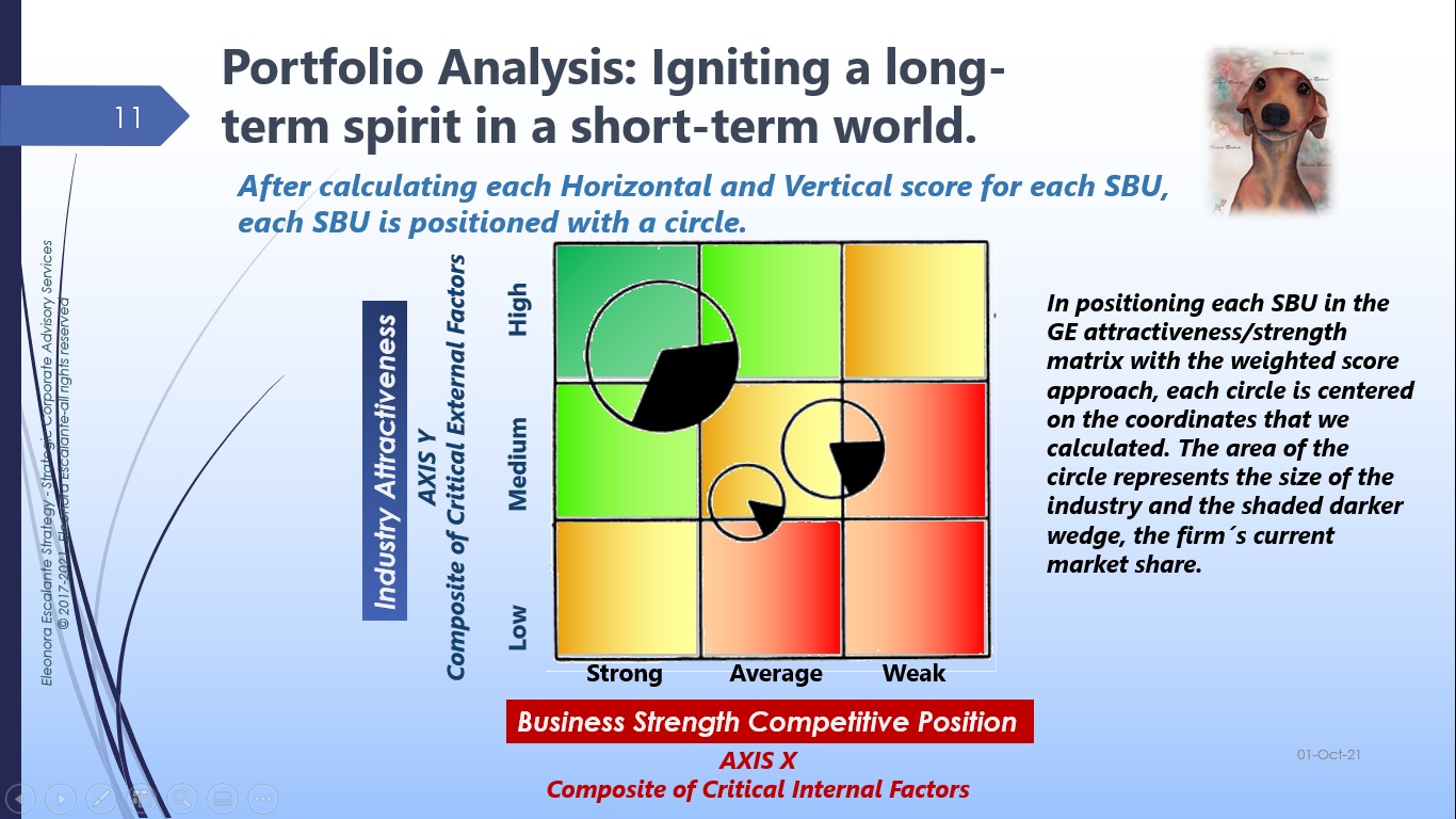 Portfolio Analysis: Igniting a long-term spirit in a short-term world ...