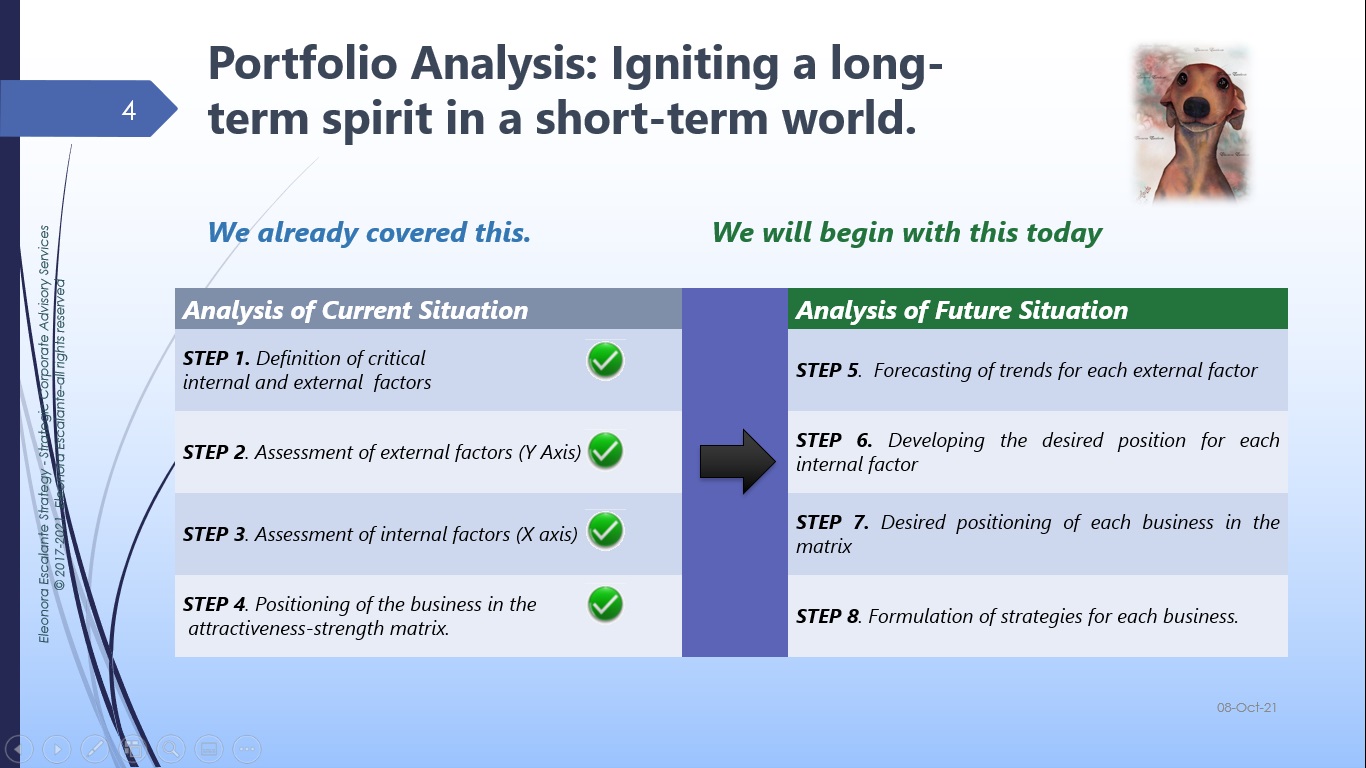 Portfolio Analysis: Igniting a long-term spirit in a short-term world ...