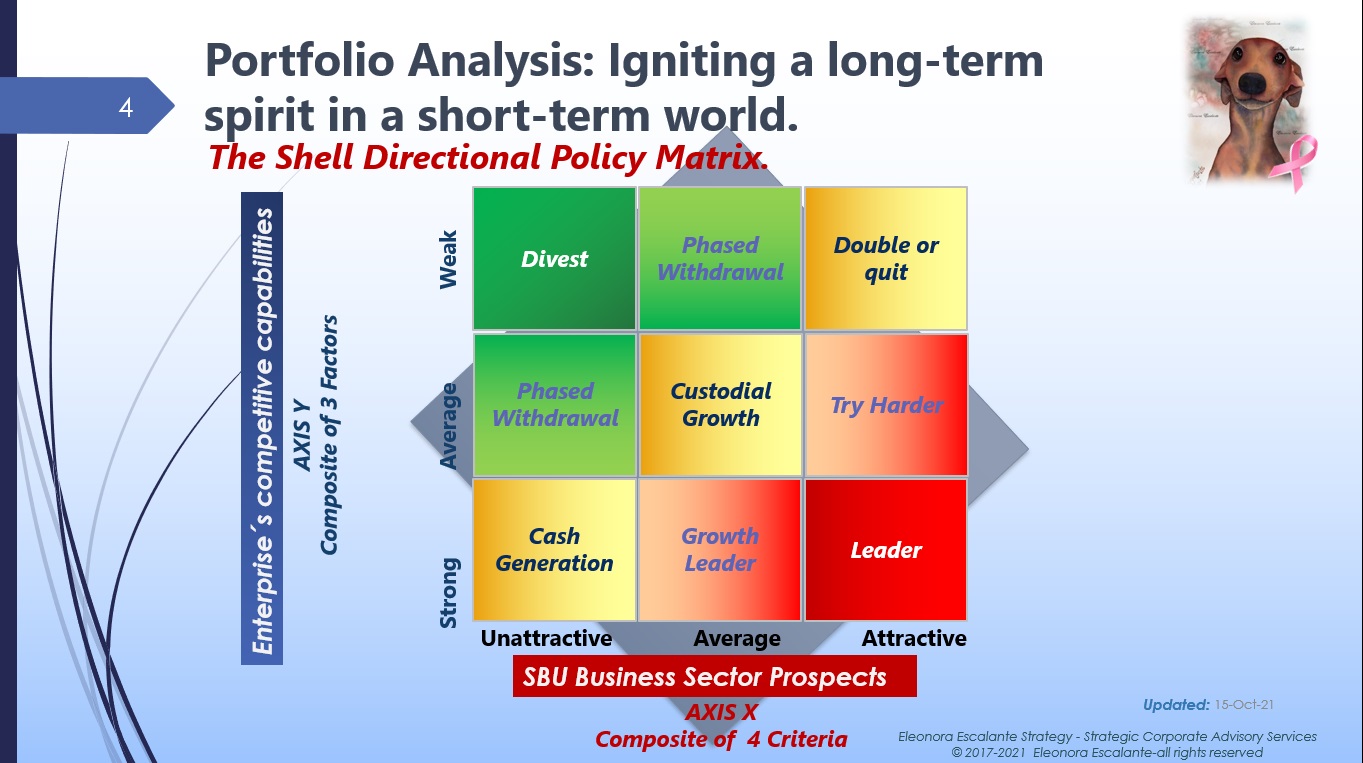 Portfolio Analysis: Igniting a long-term spirit in a short-term world ...