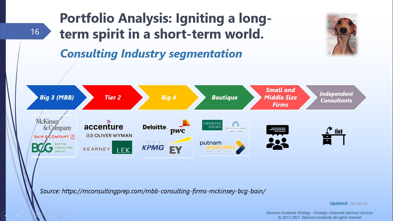 Portfolio Analysis: Igniting a long-term spirit in a short-term world ...