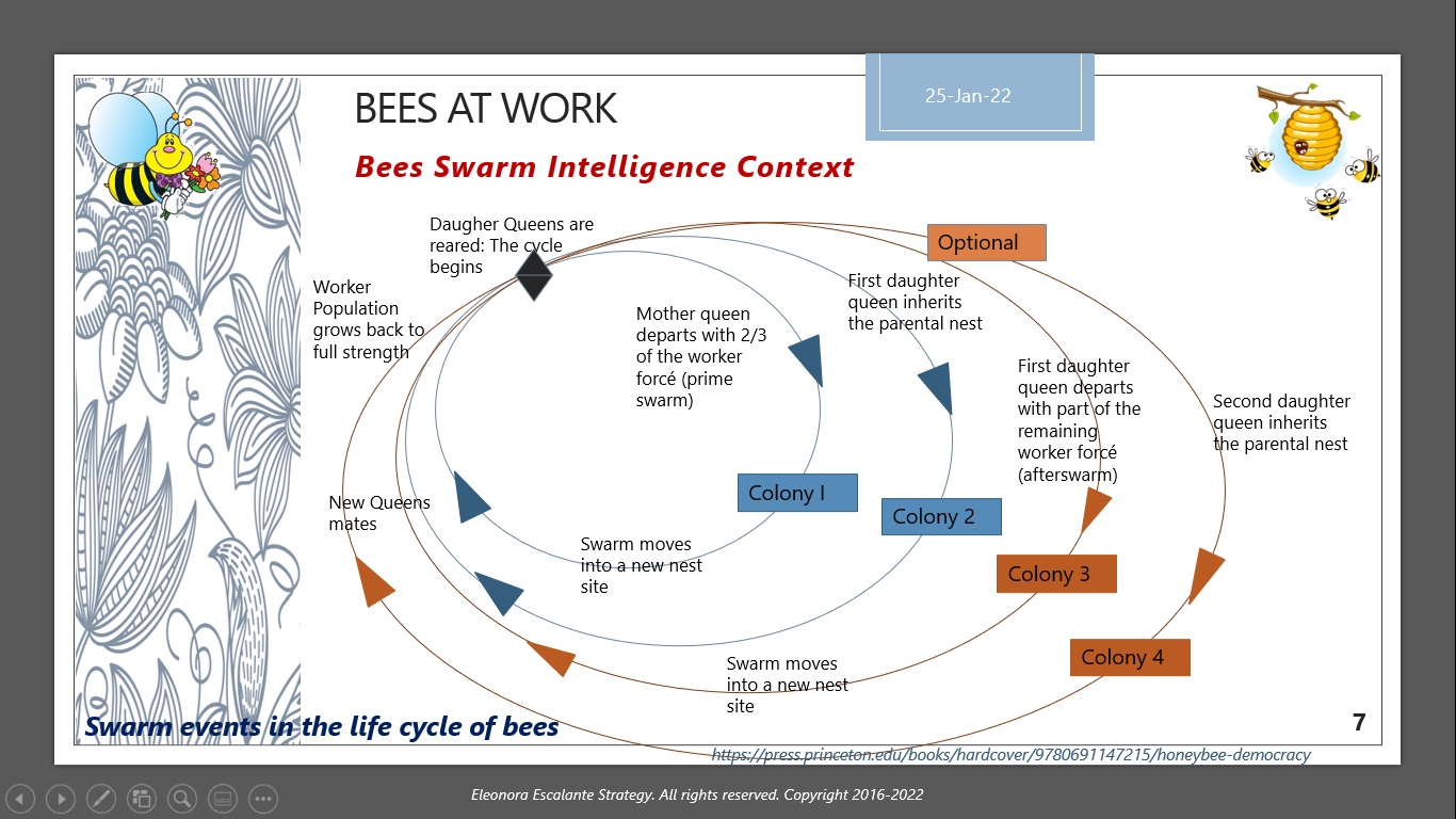 Bees at work (VI): Bees Swarm Intelligence. – Eleonora Escalante ...