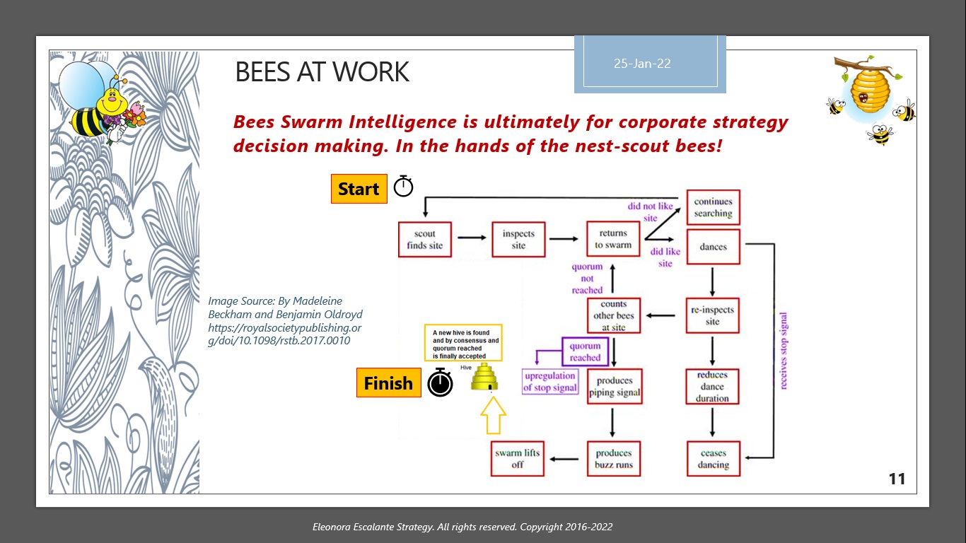 Bees at work (VI): Bees Swarm Intelligence. – Eleonora Escalante ...