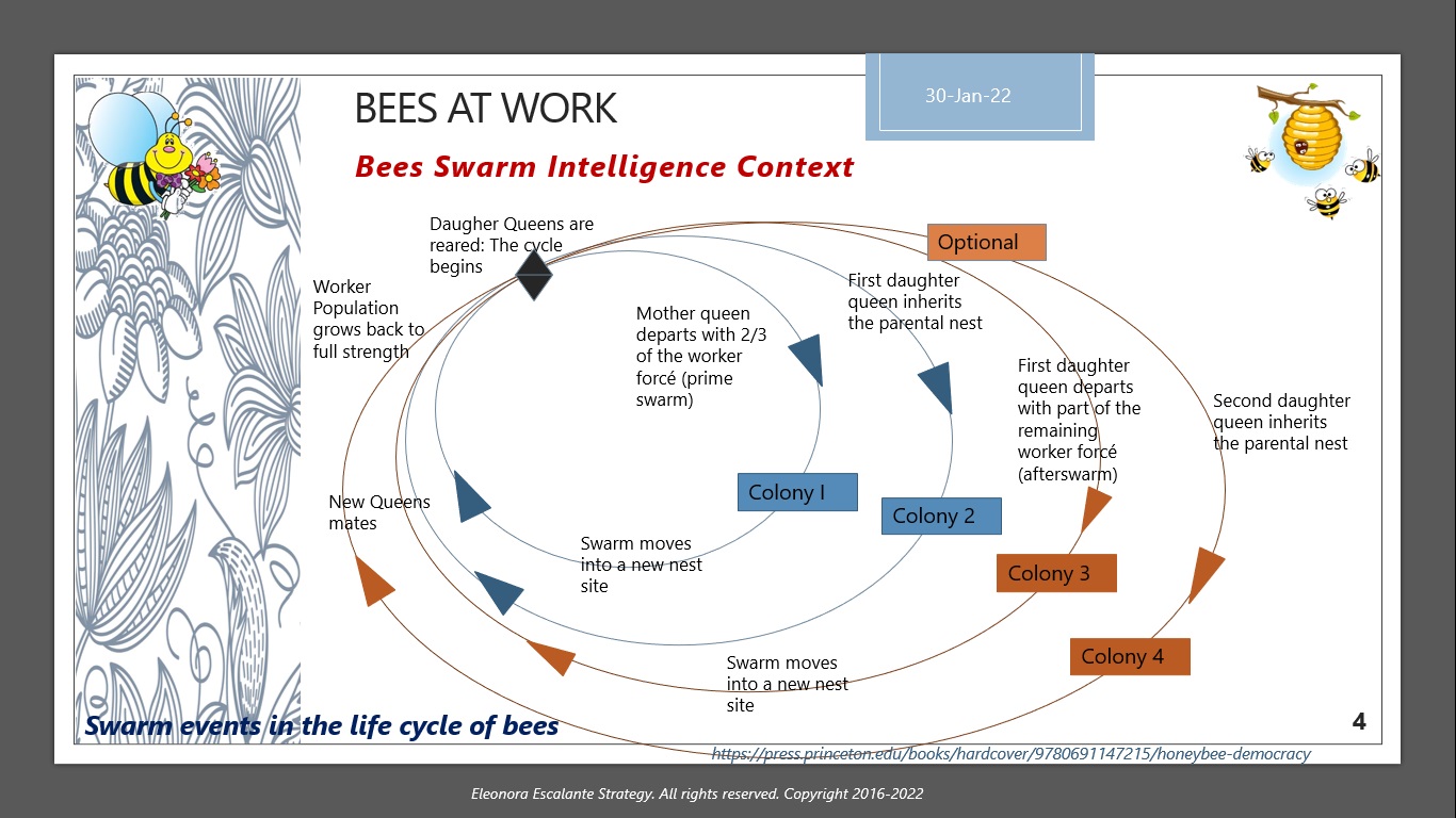 Bees at work (VII): How Bees´ colonies make decisions. – Eleonora ...