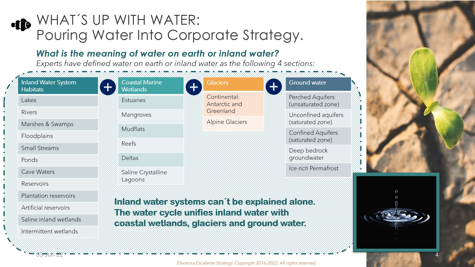 What´s up with water: Pouring water into your corporate strategy (X ...