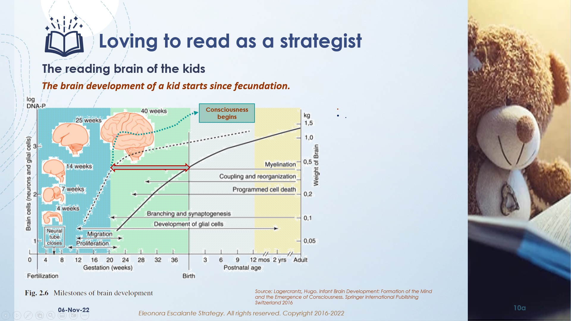 “Loving to read as a strategist”. Episode 16 part B. The reading brain ...